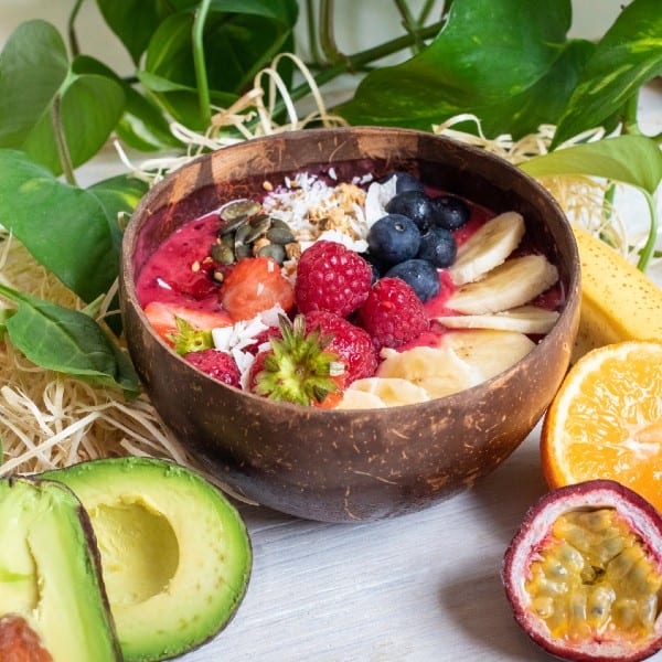 Panda Packaging Coconut Bowl | Really Good Culture