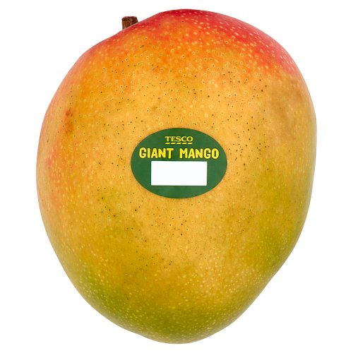 Tesco Giant Mango | Really Good Culture