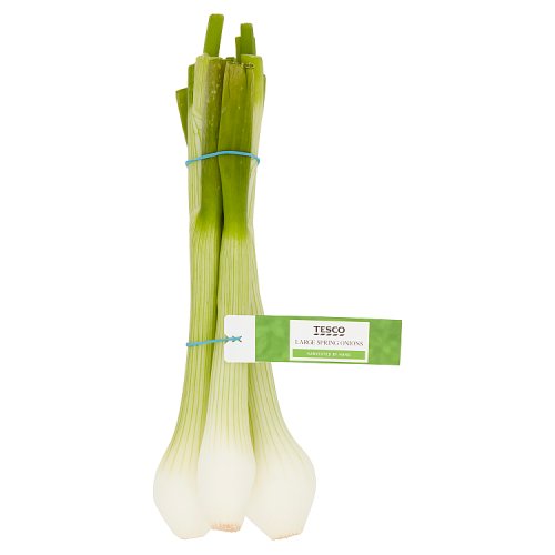 Tesco Large Spring Onions Bunched 130G | Really Good Culture