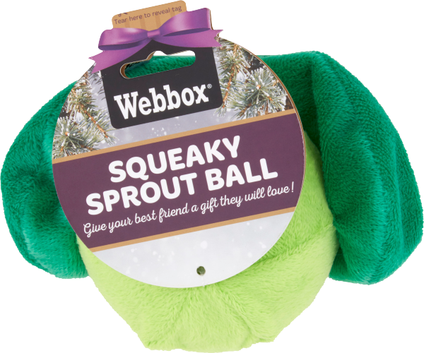 Webbox Squeaky Sprout Ball | Really Good Culture